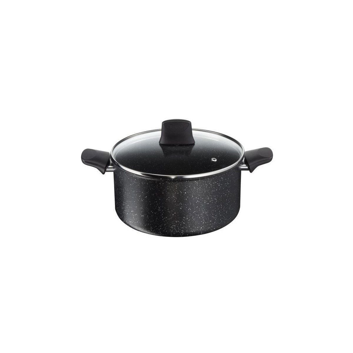 TEFAL Faitout Authentic avec couvercle - O 24 cm - Induction TEFAL