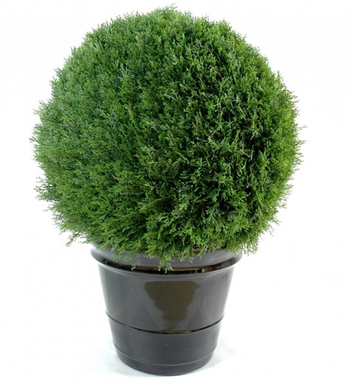 Plante artificielle haute gamme Spécial extérieur / Cyprès artificiel ... Plante artificielle haute gamme Spécial extérieur / Cyprès artificiel ...