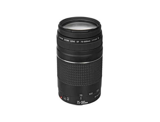 CANON Objectif EF 75-300 mm f/4.0-5.6 III CANON Pas Cher - UBALDI.com