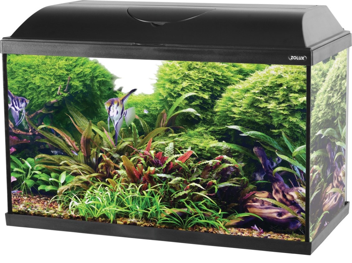 Kit aquarium aqua iseo 60 ZOLUX