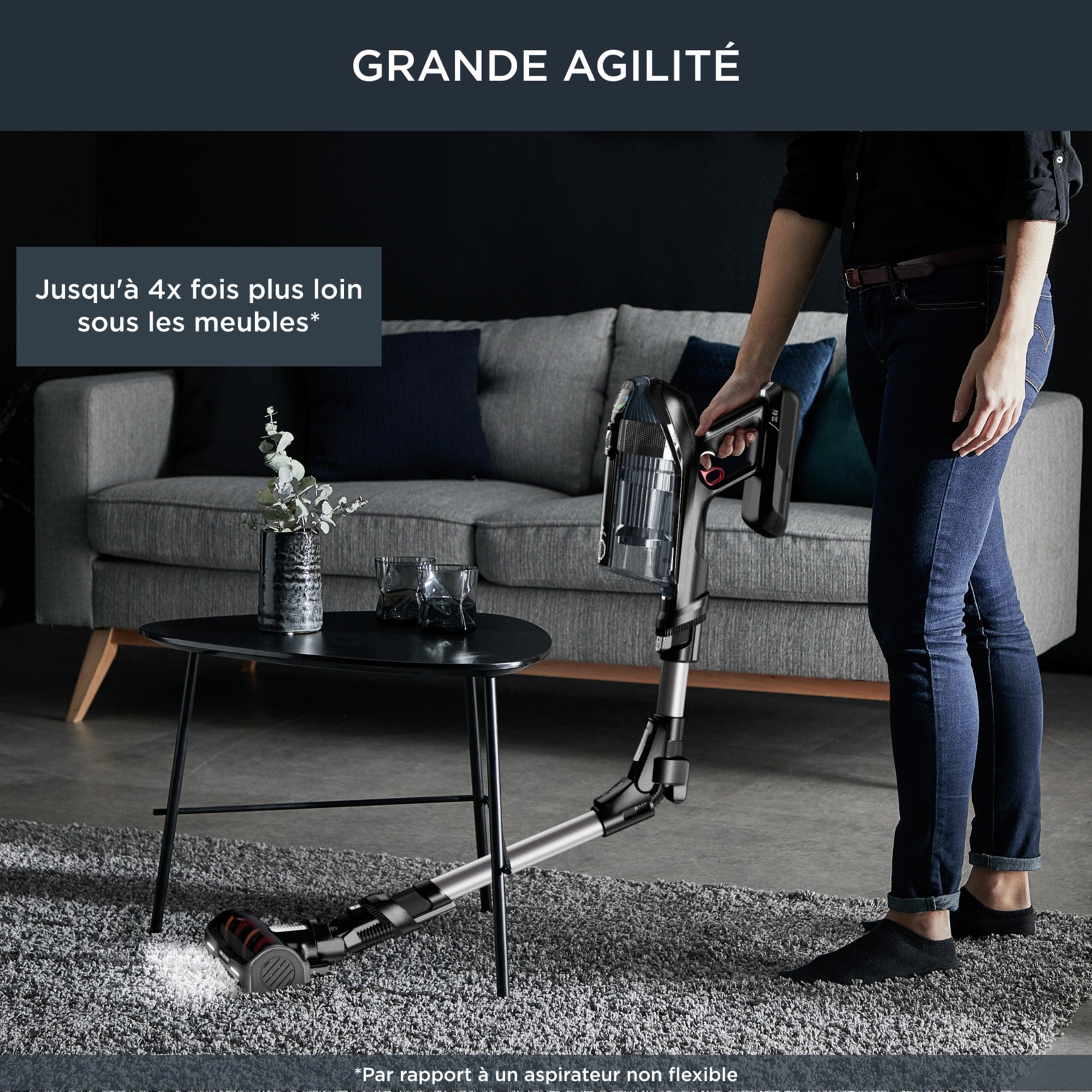 Aspirateur balai ROWENTA X-Force Flex 14.60 Animal Care RH9958WA Pas ...